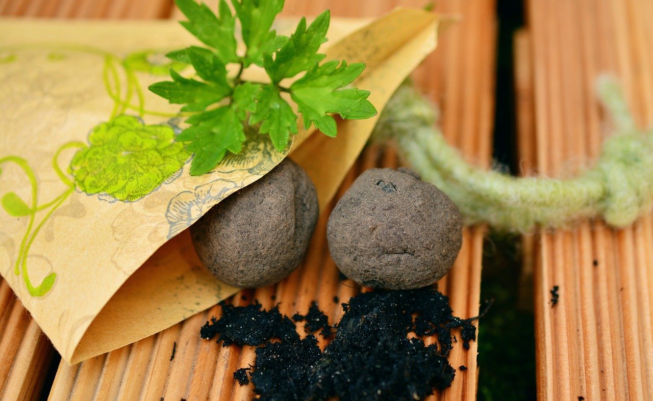 Seedbombs: So machst du sie selber | FuchsMutter.de